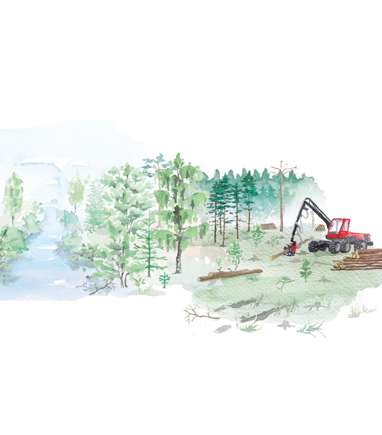 Kantsoner - vegetasjonssone • Skogkurs