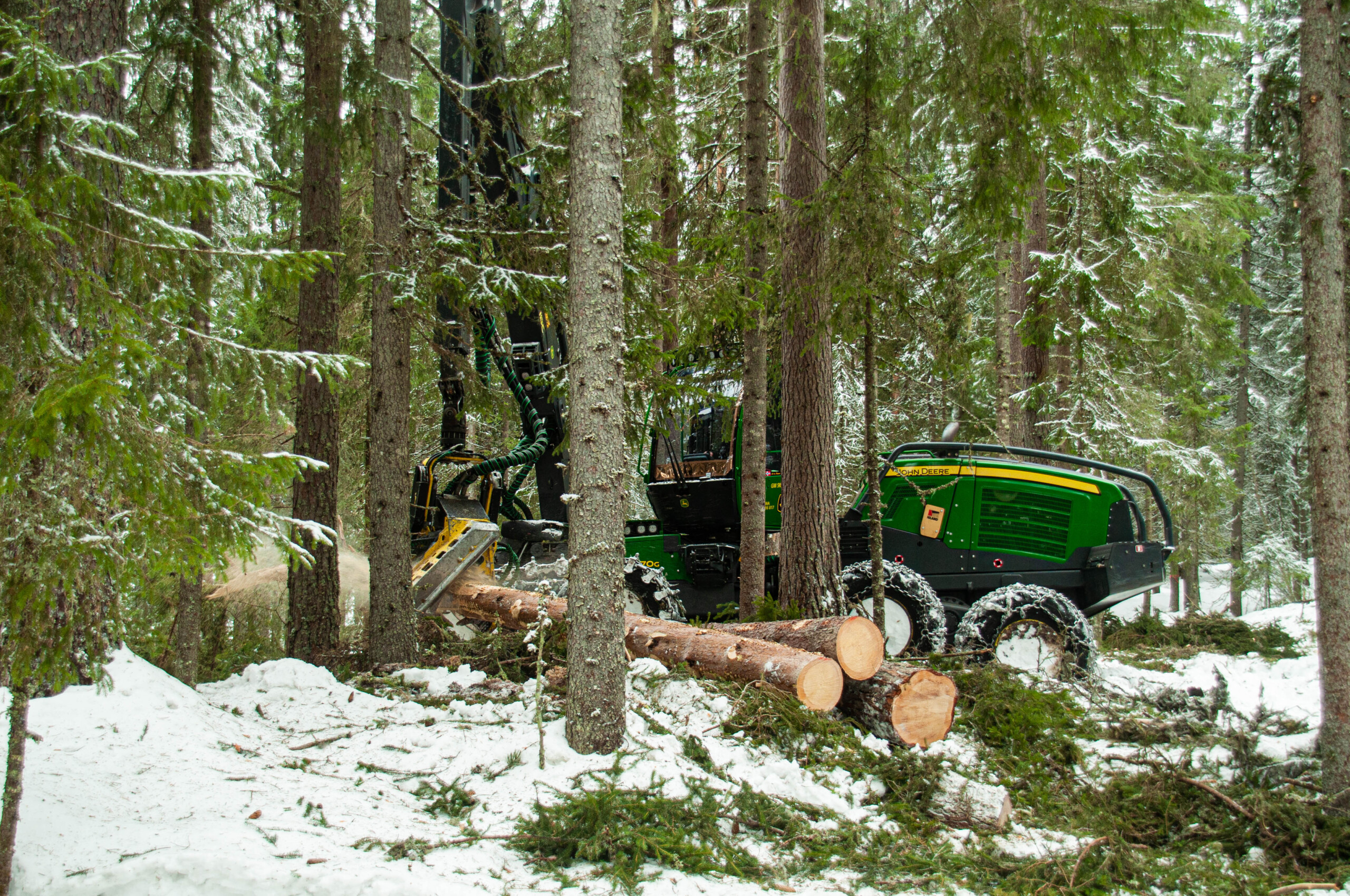 Hvordan planlegge lukket hogst? • Skogkurs