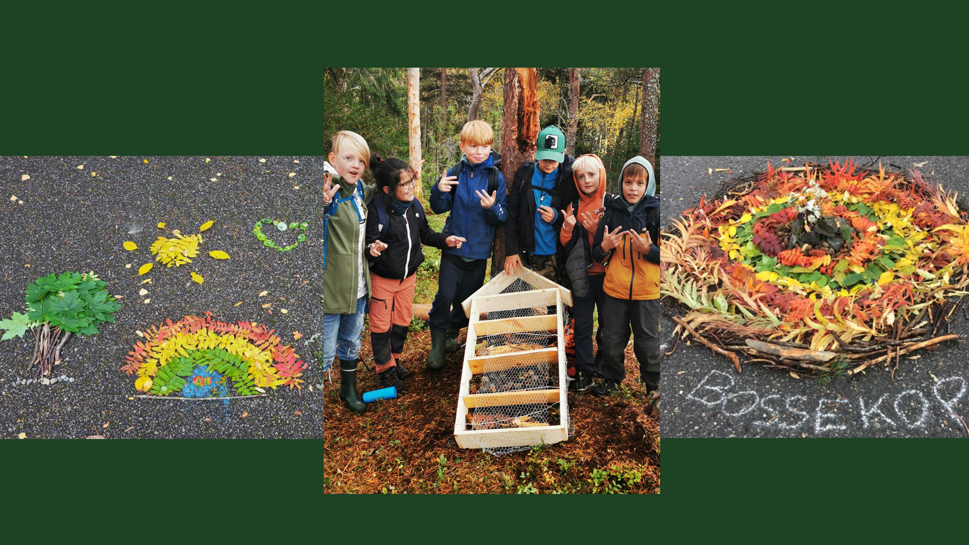 Rundt 35 000 elever deltok på Kong(l)e for en dag! • Skogkurs